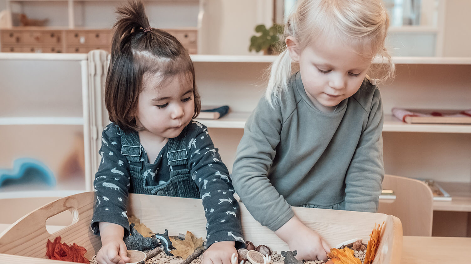 Kindergarden childcare in Arnhem