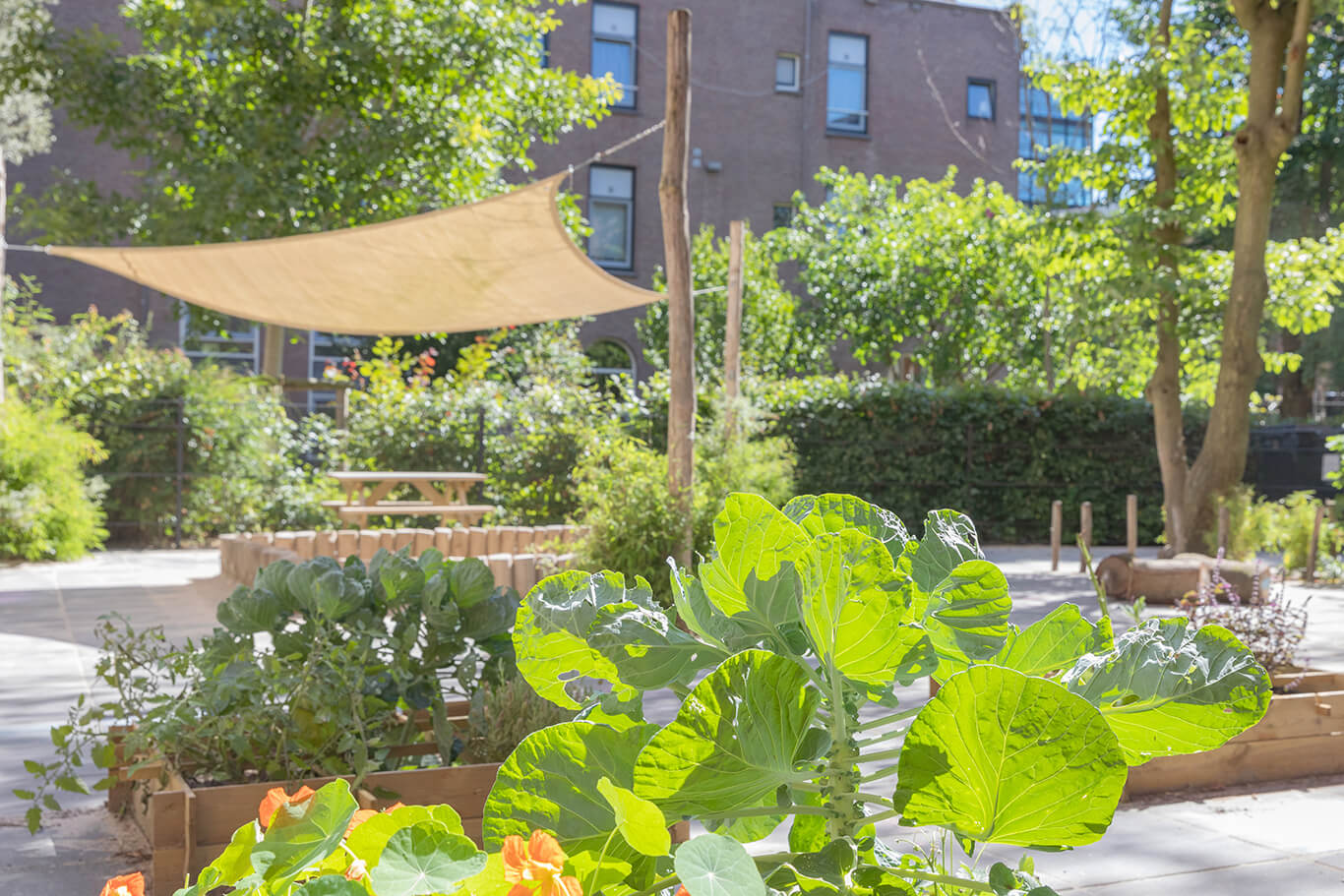 Kindergarden Voormalige Stadstimmertuin Amsterdam Kinderdagverblijf Kindergarden Voormalige Stadstimmertuin Amsterdam Kinderdagverblijf